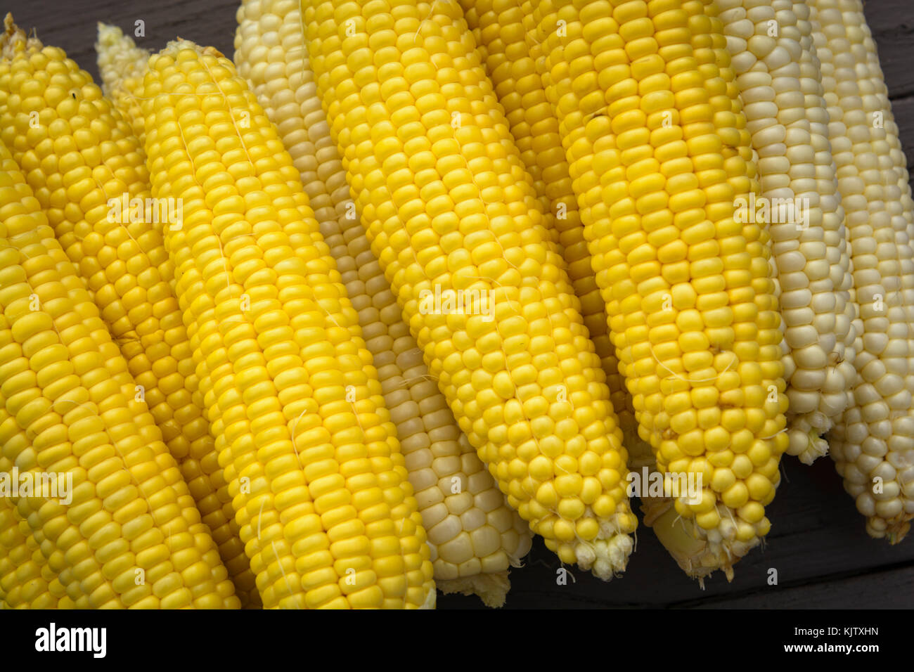 Fresh corn on the cob, yellow and white ready to cook Stock Photo - Alamy