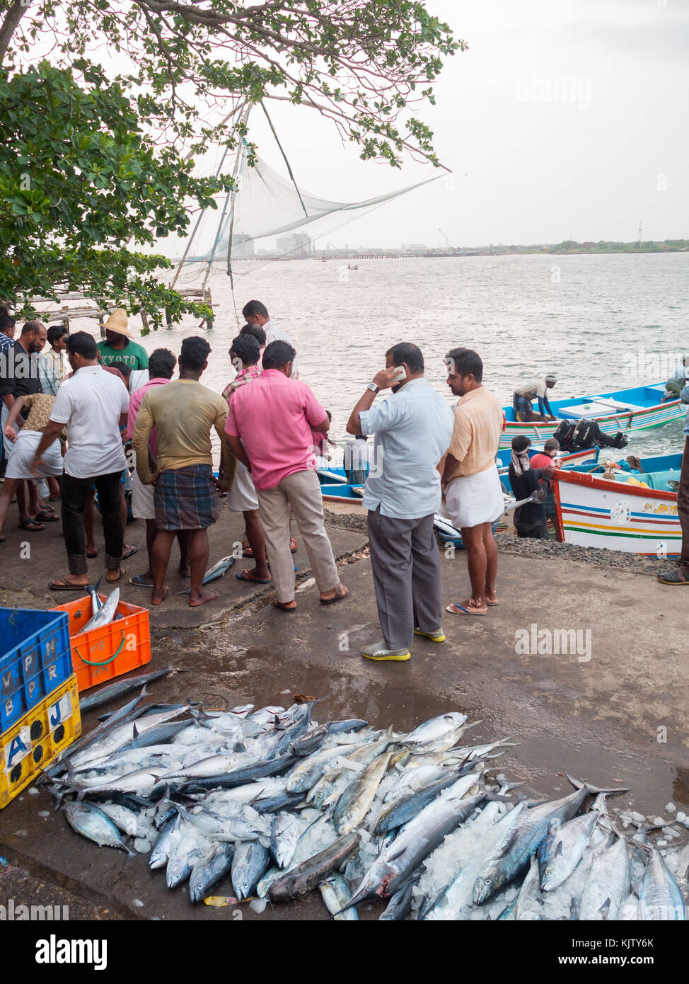 Selling fish in Cochin Stock Photo - Alamy