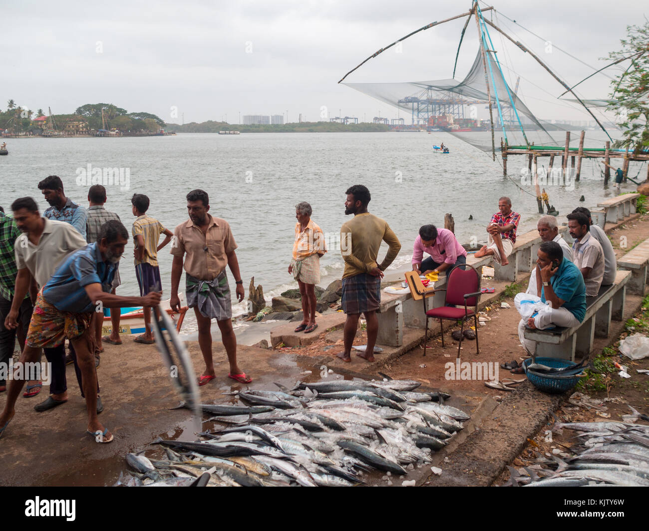 Fish market kochi hi-res stock photography and images - Alamy