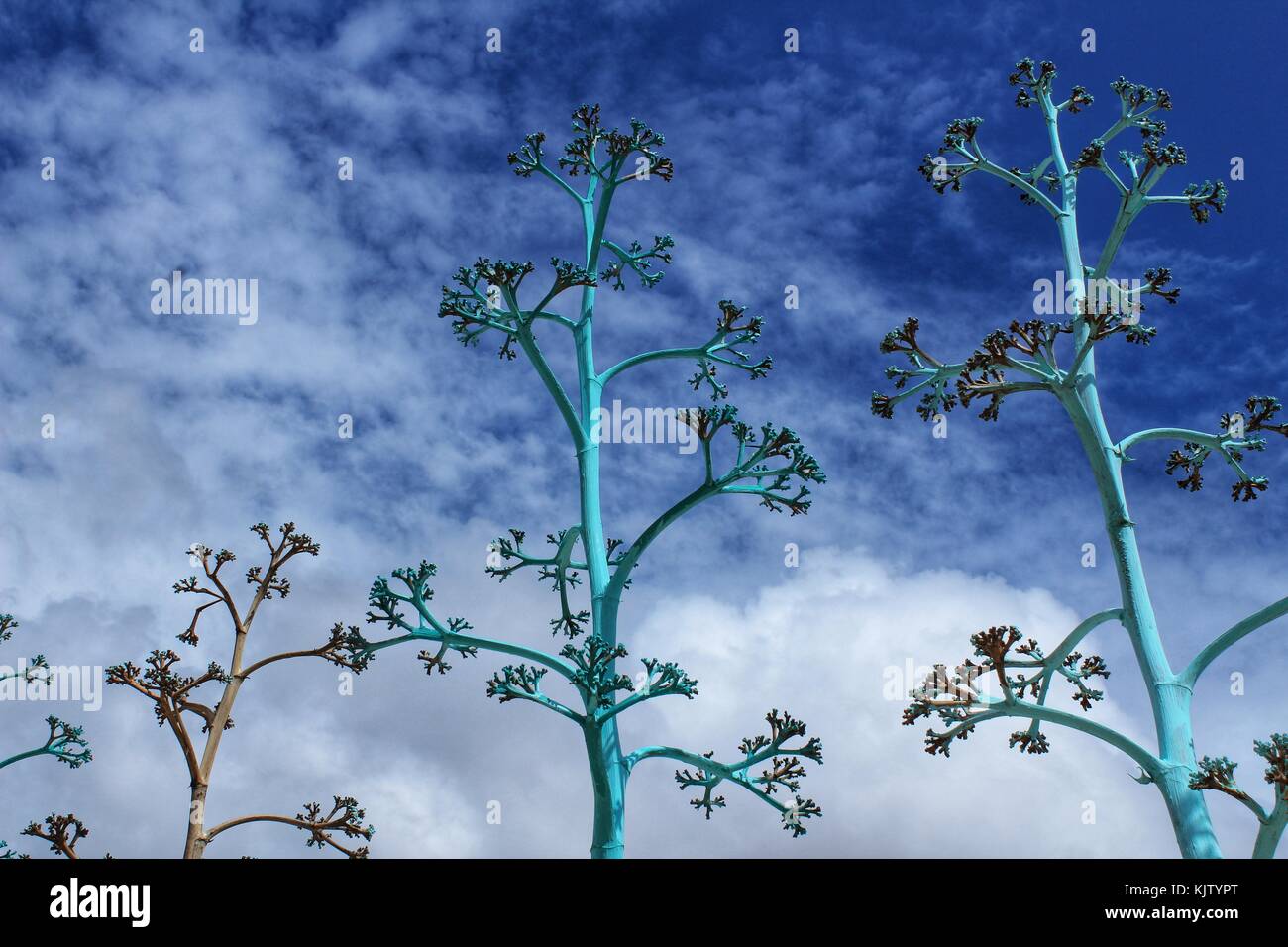 Blue sky and painted plants landscape Stock Photo - Alamy