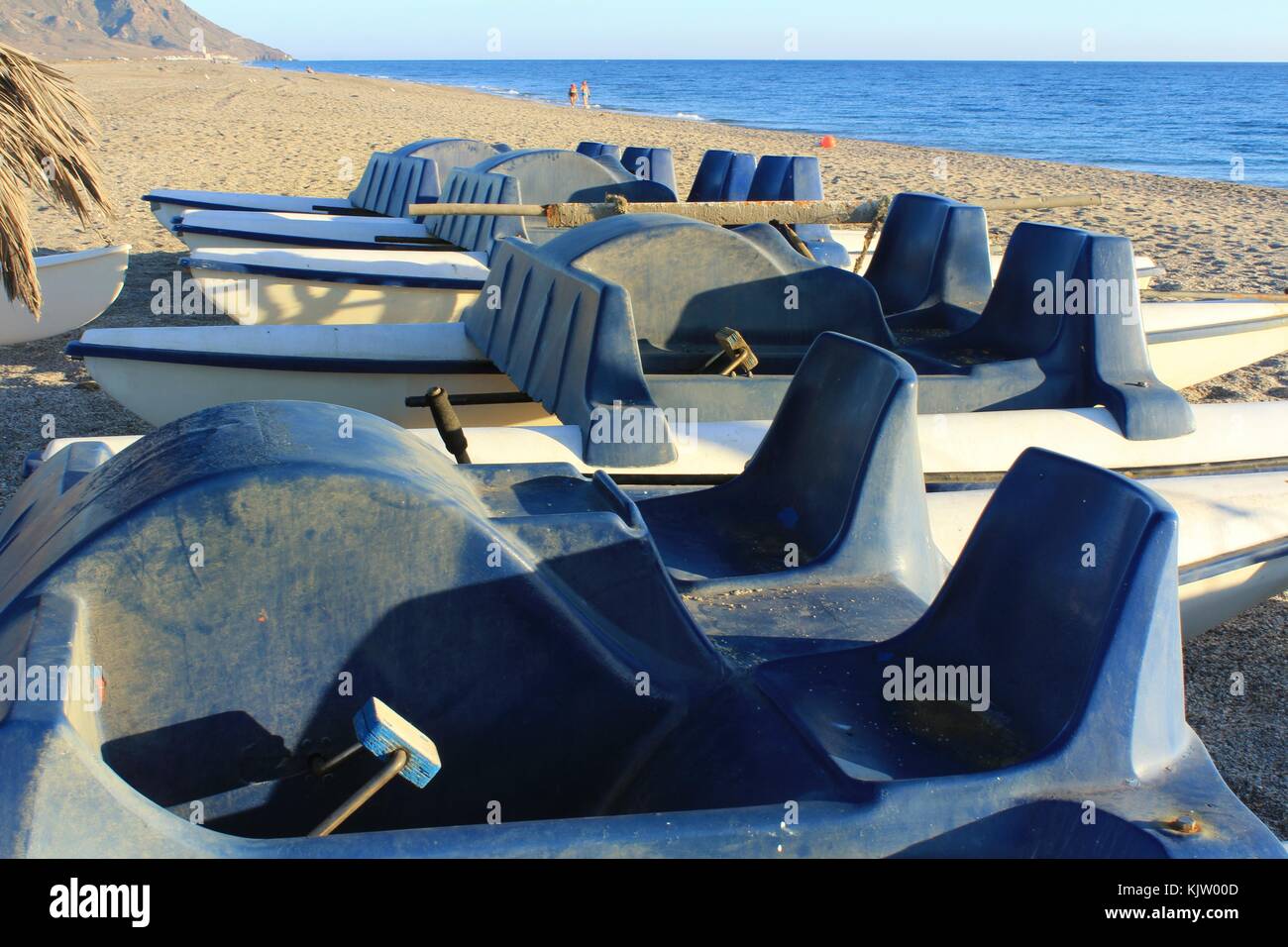 Water skates on the beach Stock Photo - Alamy