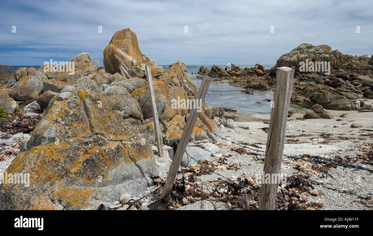 Porky beach hi-res stock photography and images - Alamy