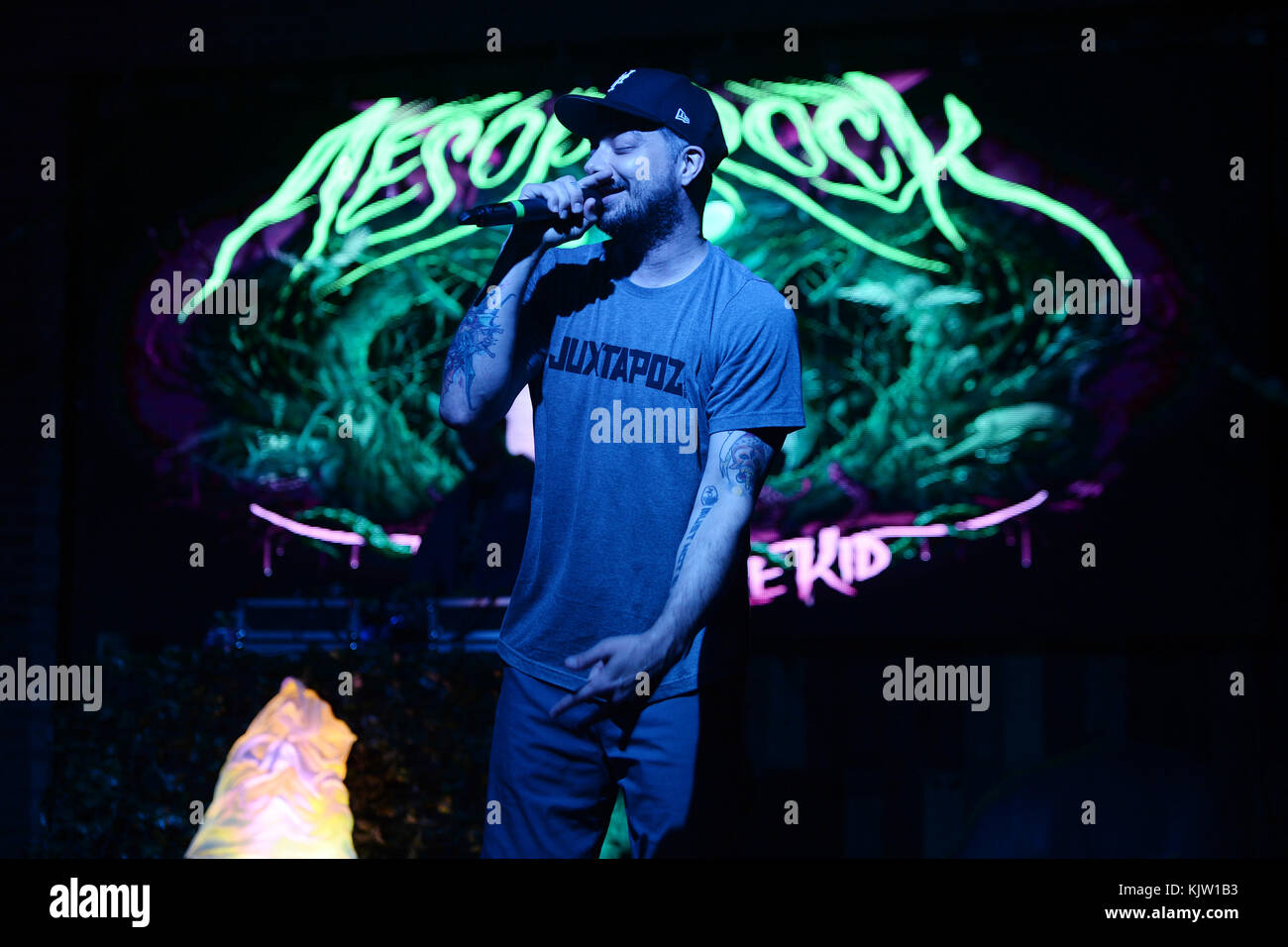 FORT LAUDERDALE, FL - JULY 06: Aesop Rock performs at Revolution on ...