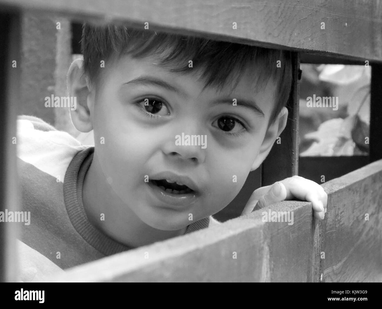 Little nose Black and White Stock Photos & Images - Alamy