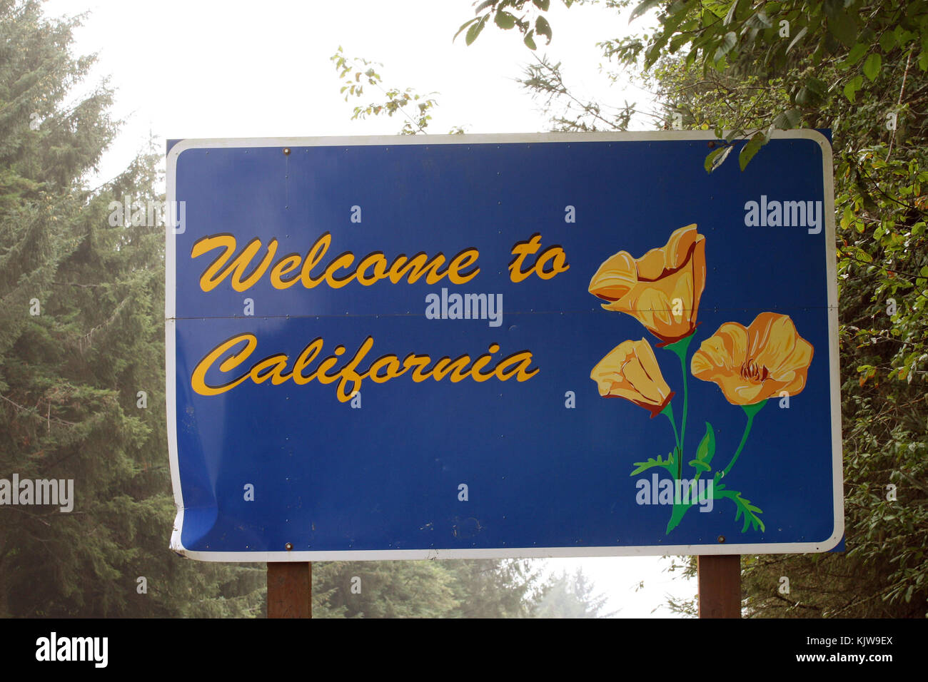 Brookings, USA. 8th Sep, 2017. A sign reading 'Welcome to California ...