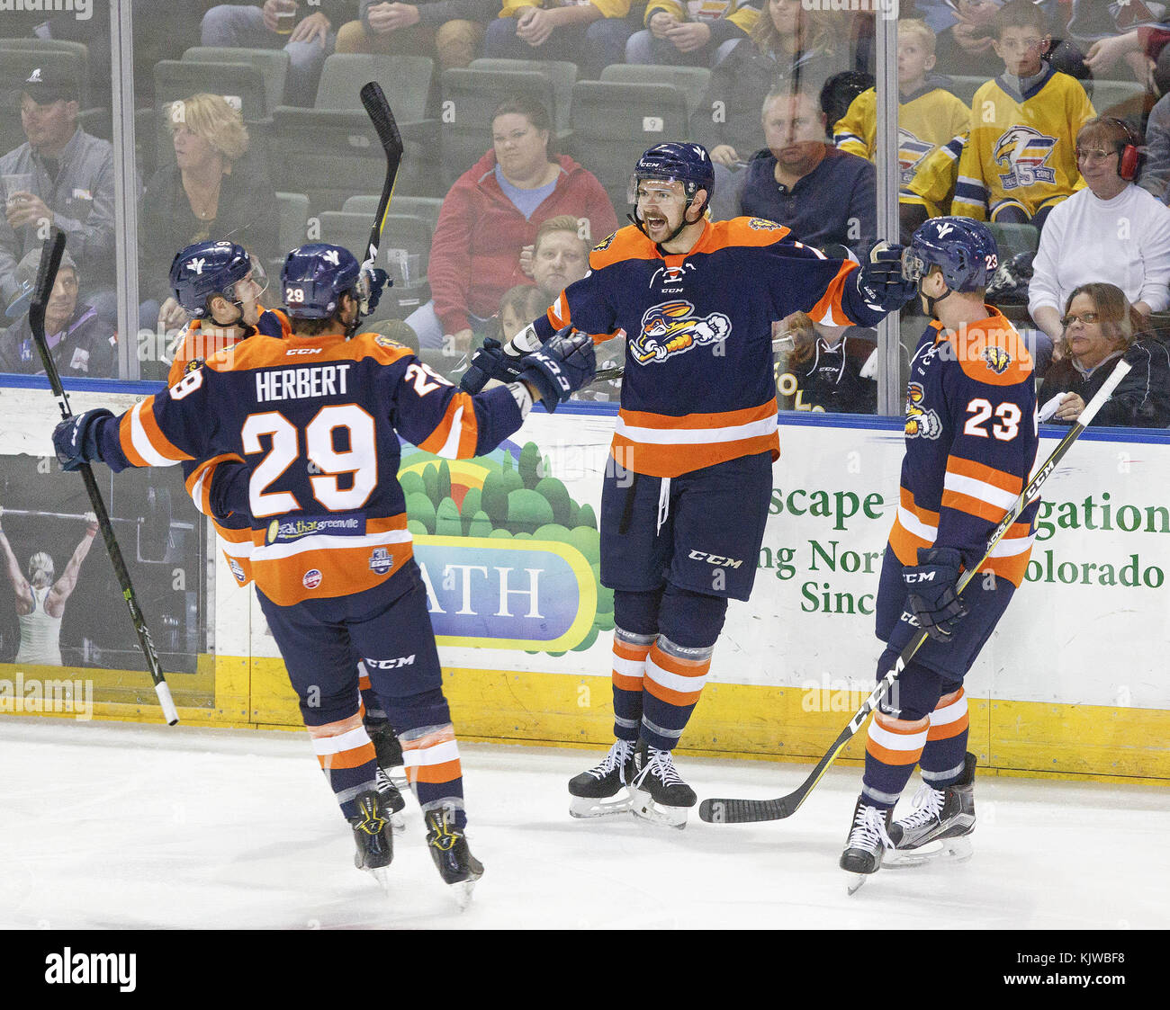 Loveland, Colorado, USA. 24th Nov, 2017. Swamp Rabbits D BRENDEN KOTYK ...