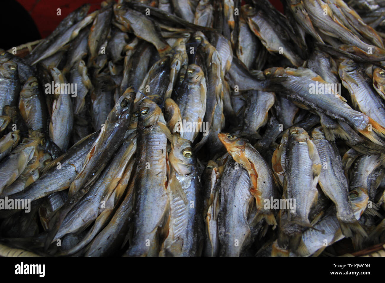 Nanjin, Nanjin, China. 27th Nov, 2017. Nanjing, CHINA-2017:(EDITORIAL ...