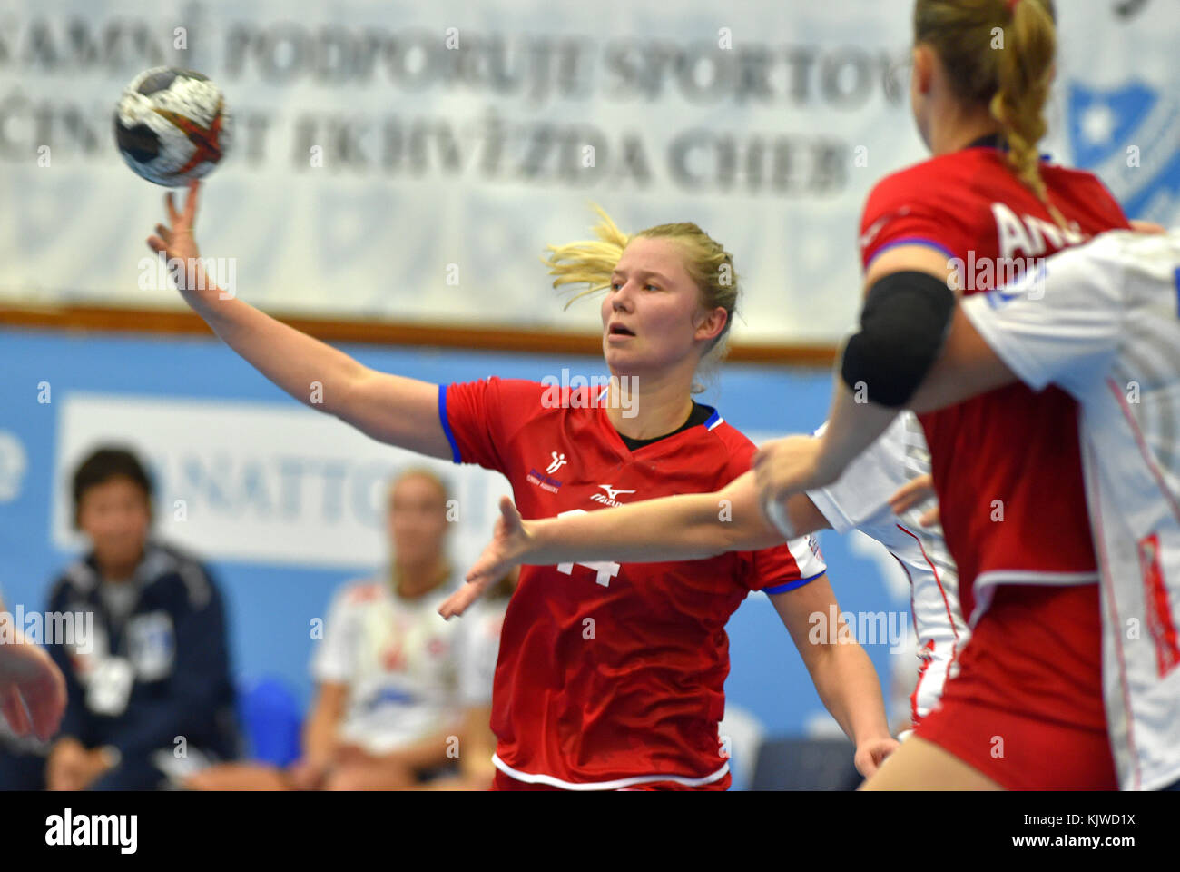 Cheb, Czech Republic. 25th Nov, 2017. From left Czech National Team ...
