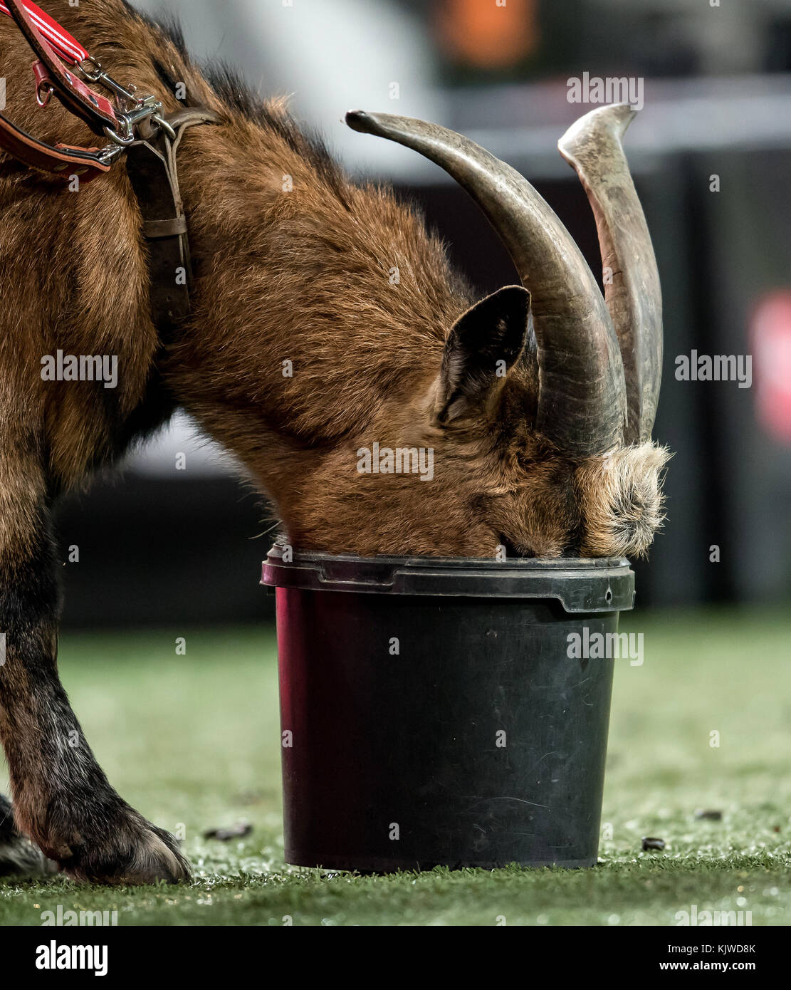 Thomas eats hi-res stock photography and images - Alamy