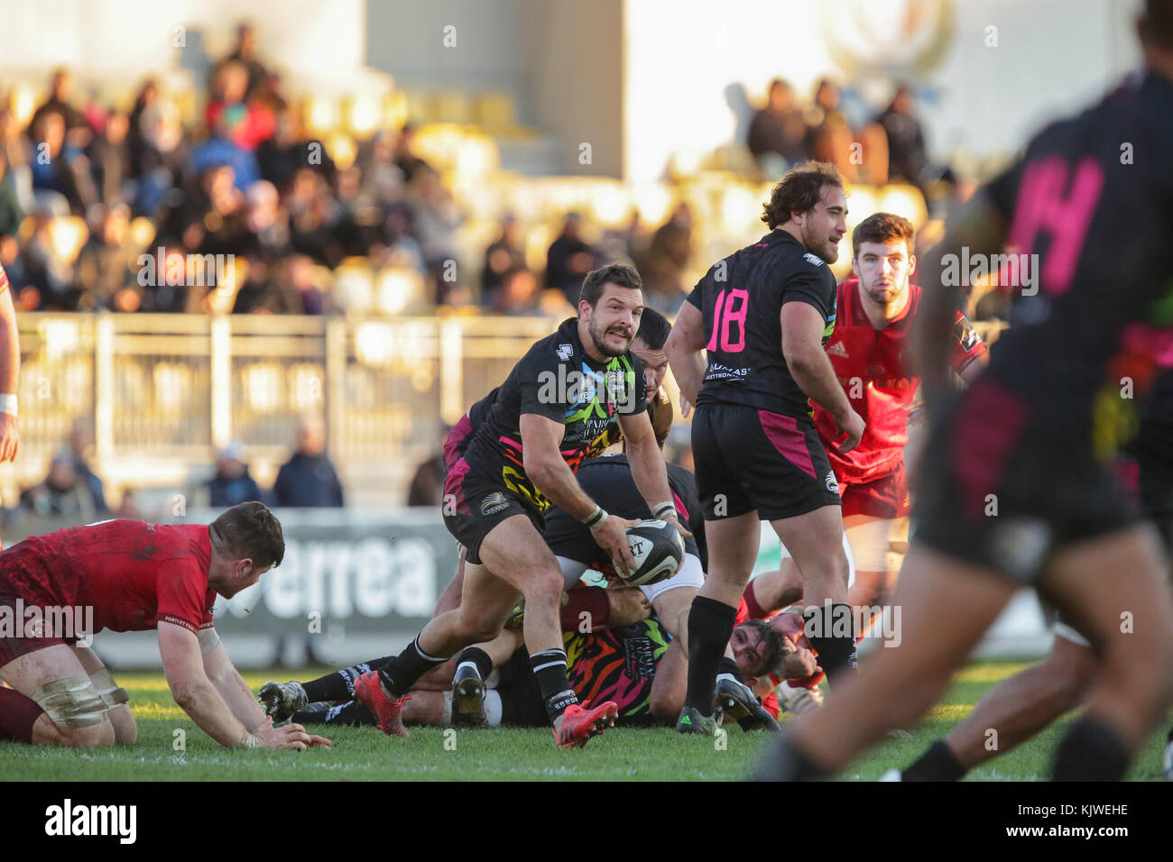 Parma, Italy. 26th November 2017. Zebre's scrum half Guglielmo ...