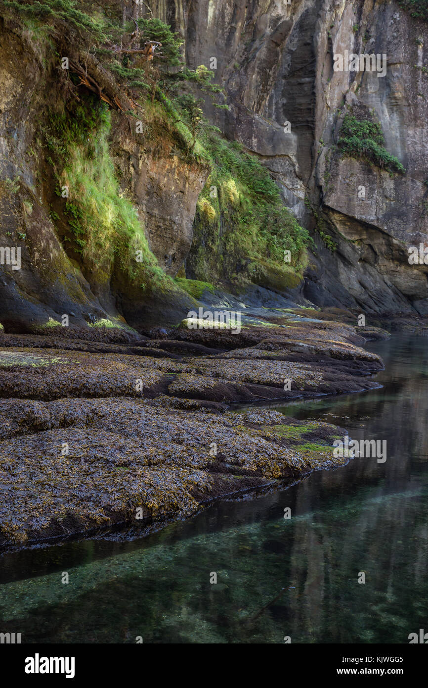 Beautiful natural background picture of a scenic landscape at the Ocean ...