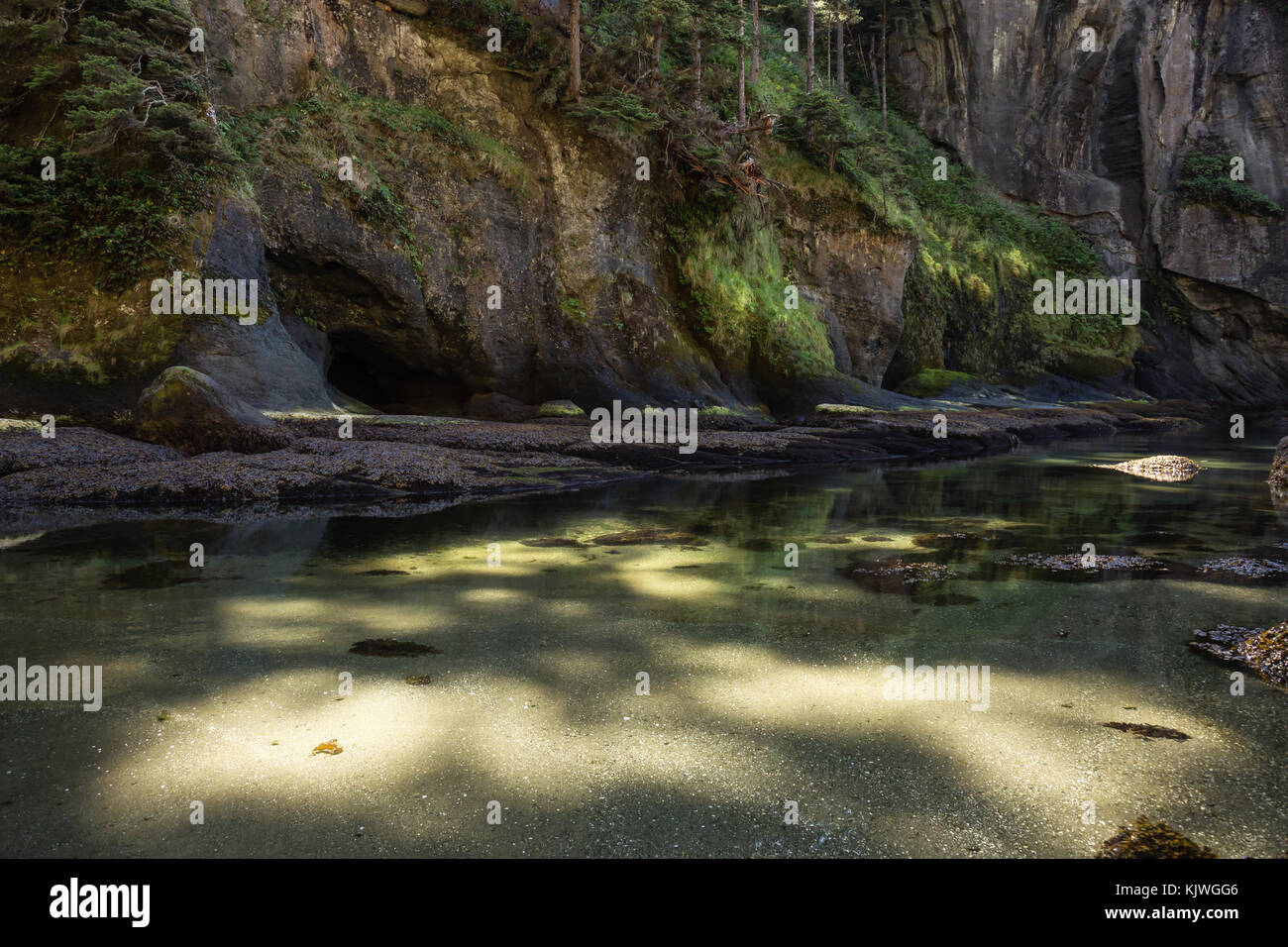Neah bay hi-res stock photography and images - Alamy