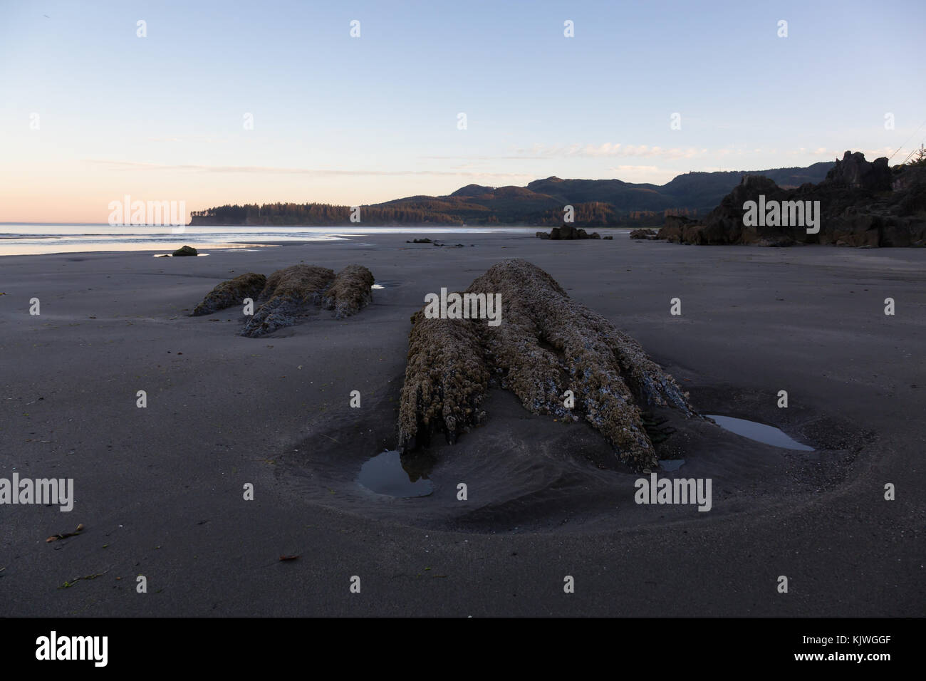 Beautiful view of a sandy beach on Pacific Ocean Coast. Taken in Neah ...