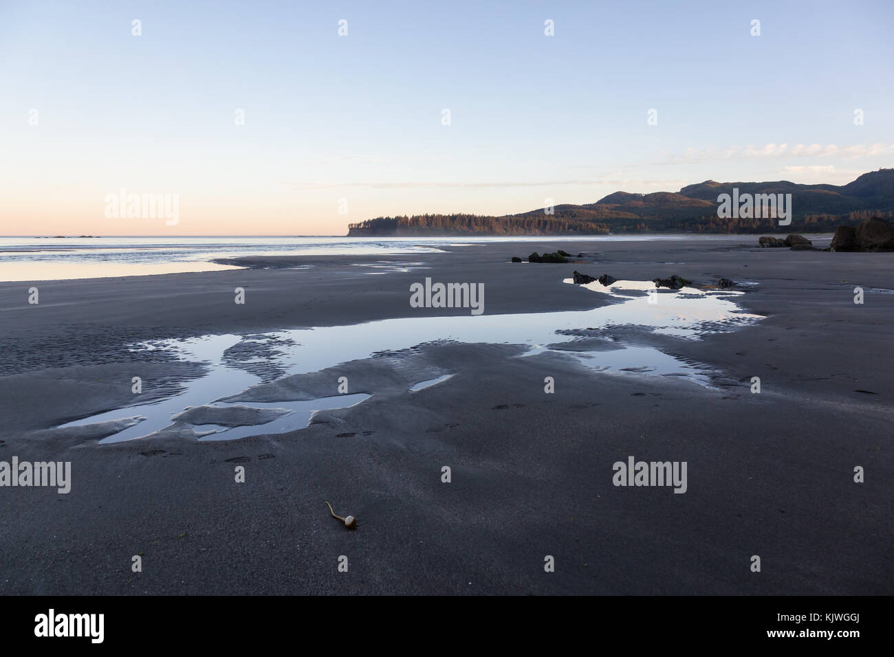 Beautiful view of a sandy beach on Pacific Ocean Coast. Taken in Neah ...