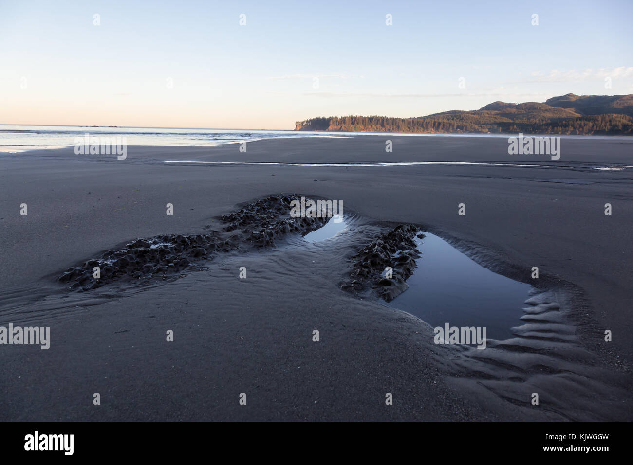 Beautiful view of a sandy beach on Pacific Ocean Coast. Taken in Neah ...