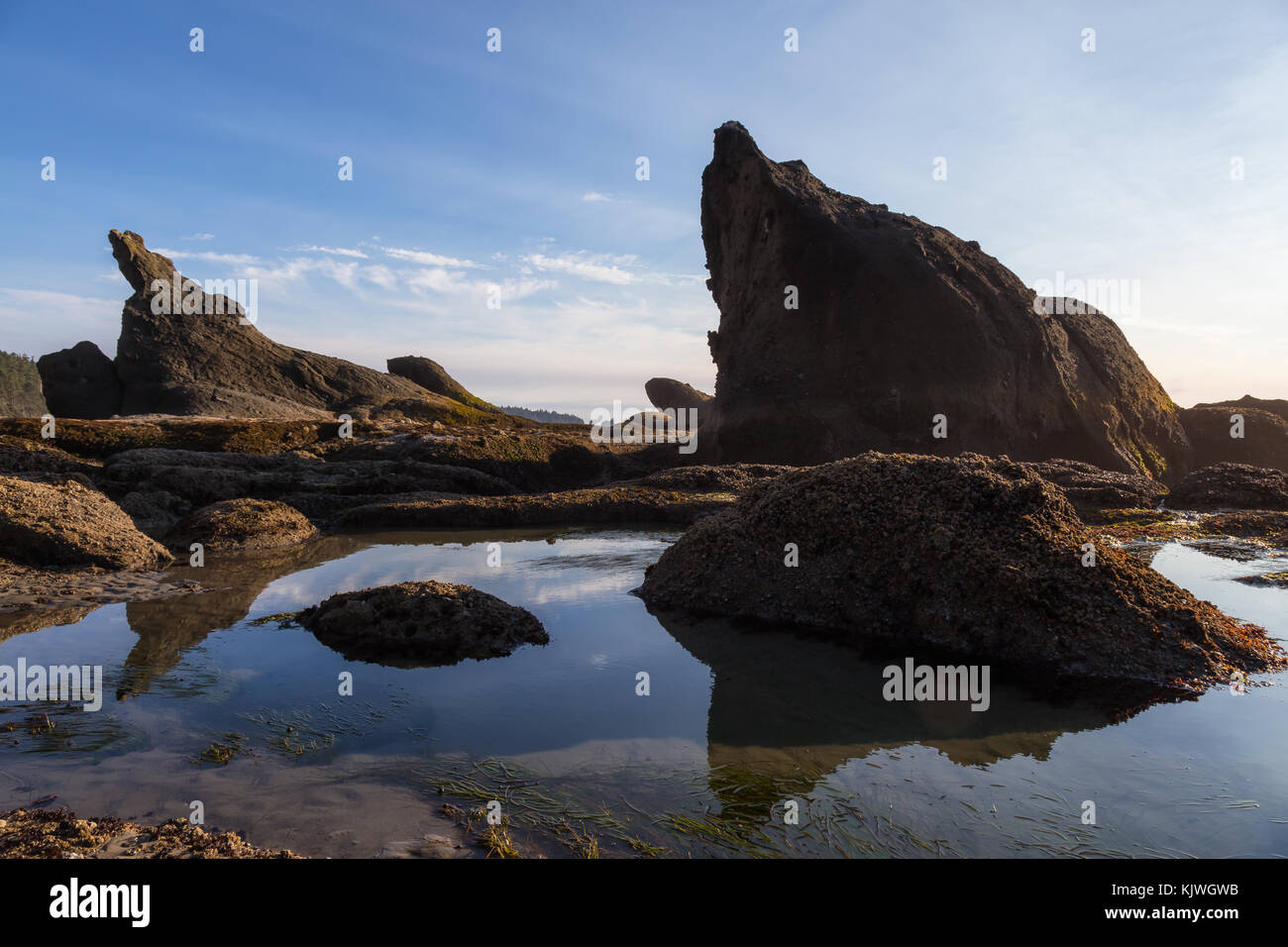 Beautiful view of a scenic landscape at the Ocean Coast. Taken at Shi ...