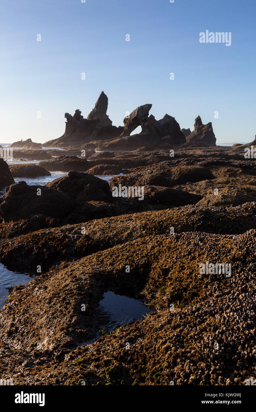 Beautiful view of a scenic landscape at the Ocean Coast. Taken at Shi ...