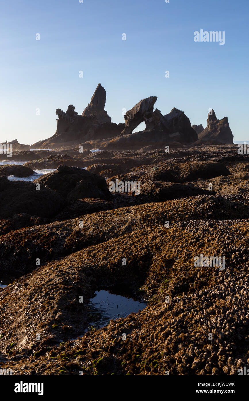 Beautiful view of a scenic landscape at the Ocean Coast. Taken at Shi ...
