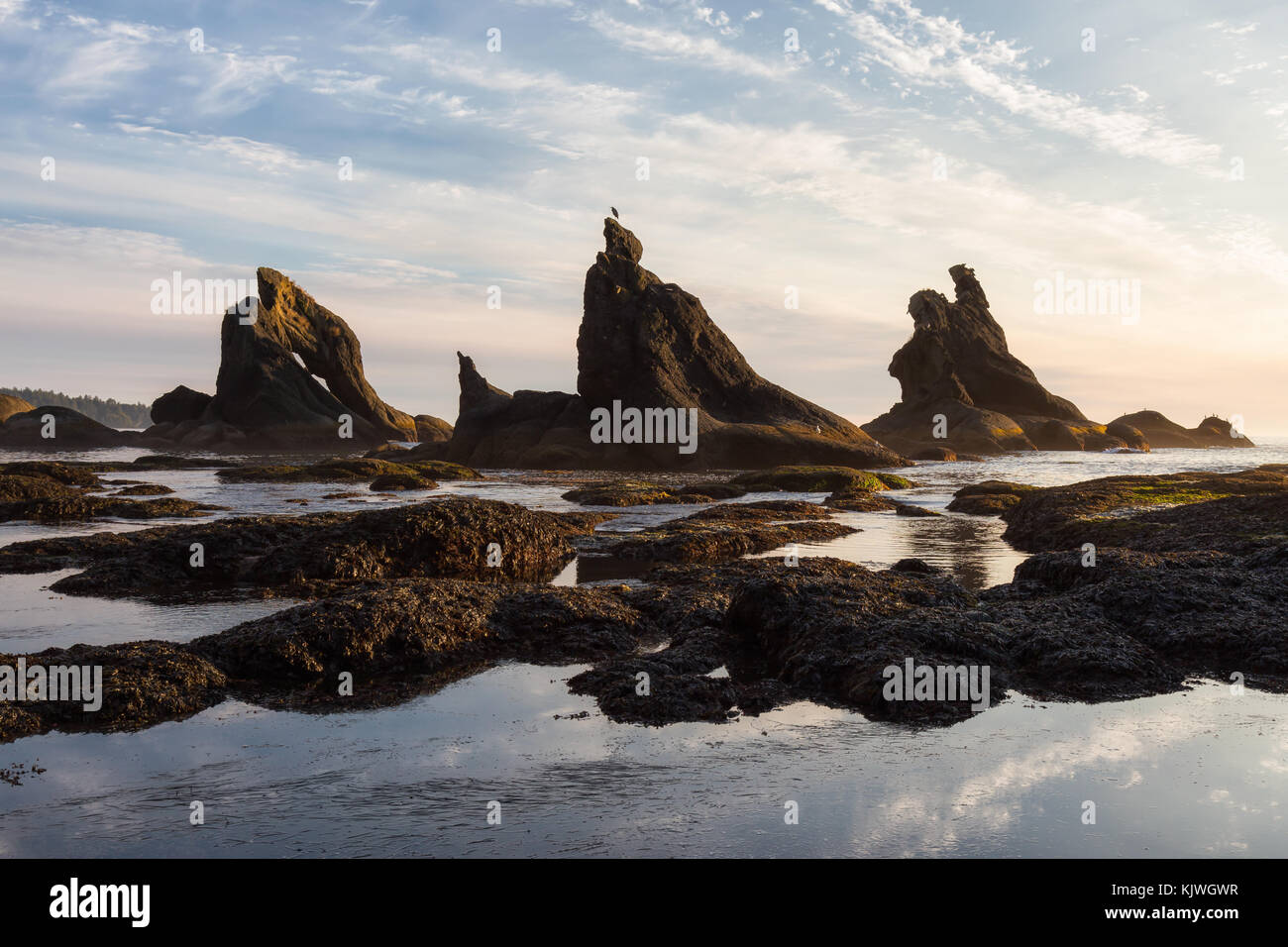 Beautiful view of a scenic landscape at the Ocean Coast. Taken at Shi ...
