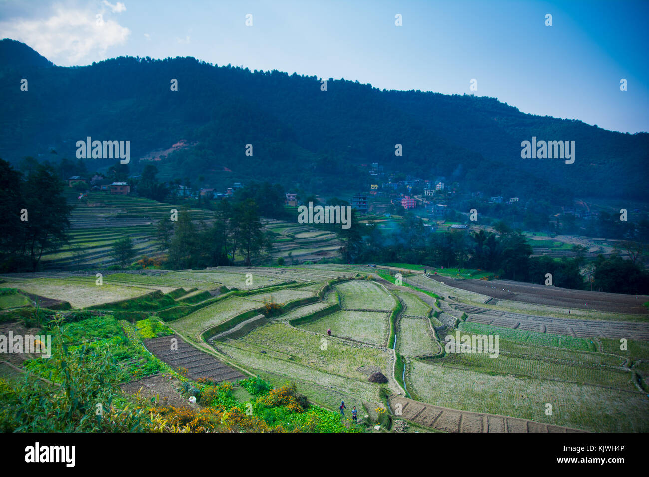 Nepal Farm Field Stock Photo - Alamy