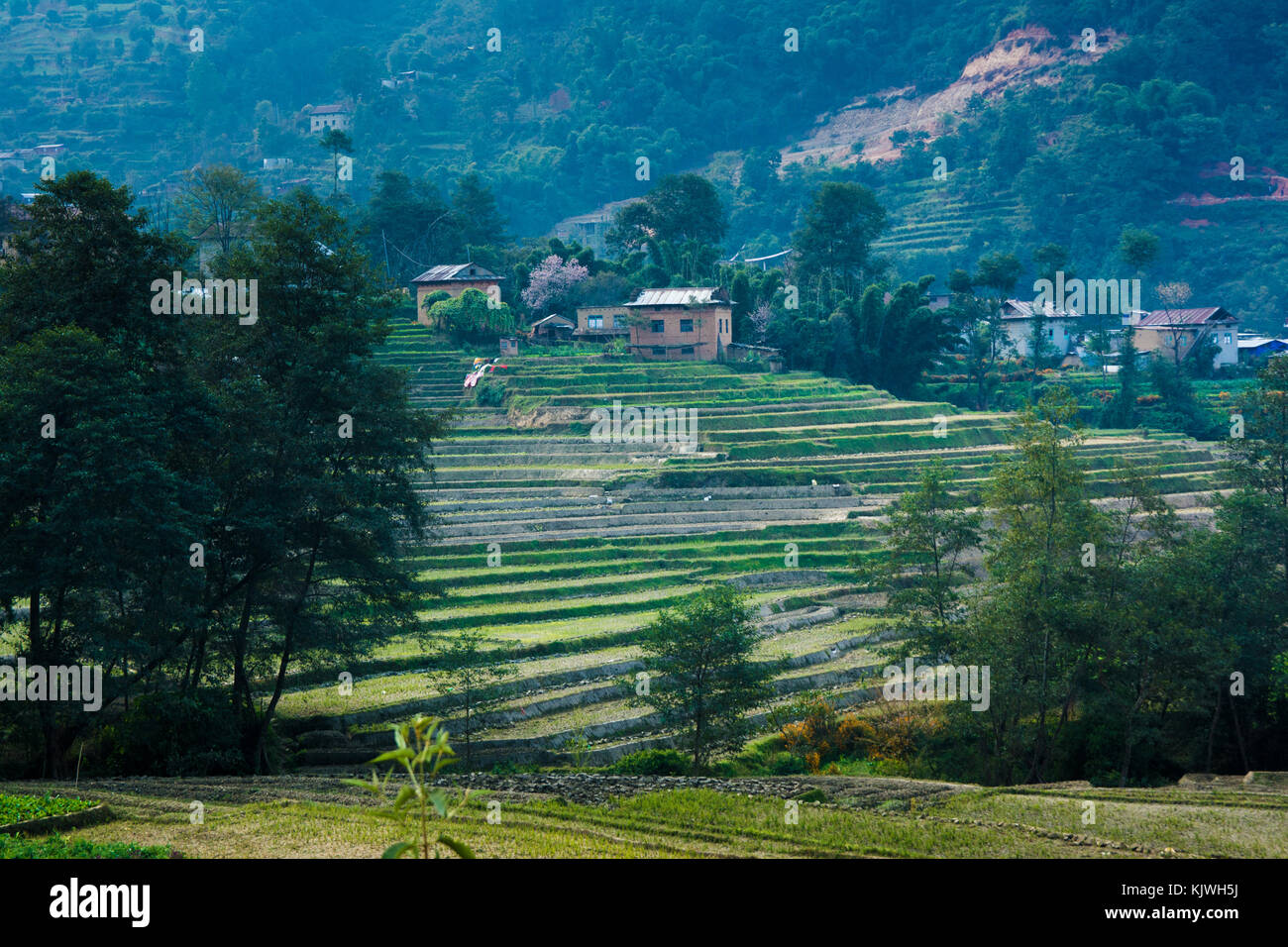 Nepal farmer hi-res stock photography and images - Alamy