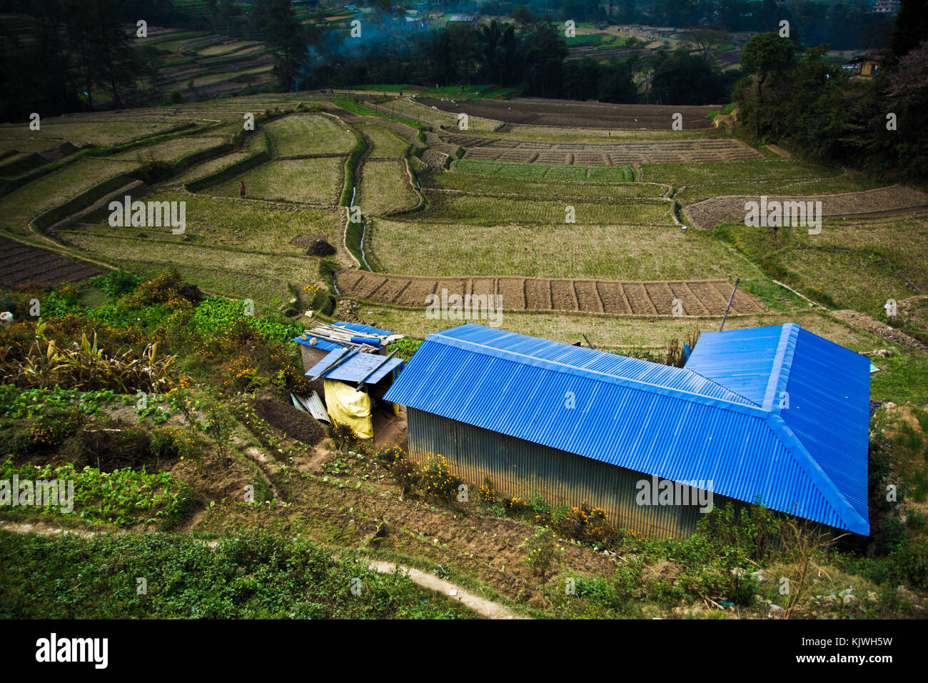 Nepal Farm Field Stock Photo - Alamy