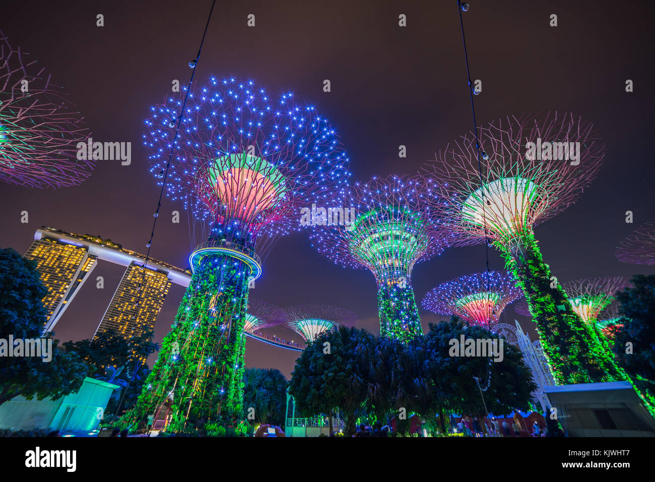 Singapore - November 19, 2017: Supertree Grove Show, Singapore ...