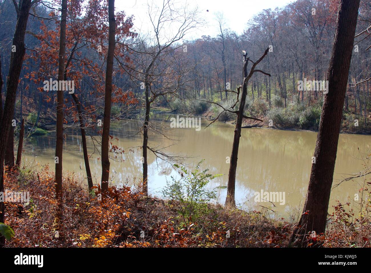 The sights and the views on the hike in the forest in the autumn season ...