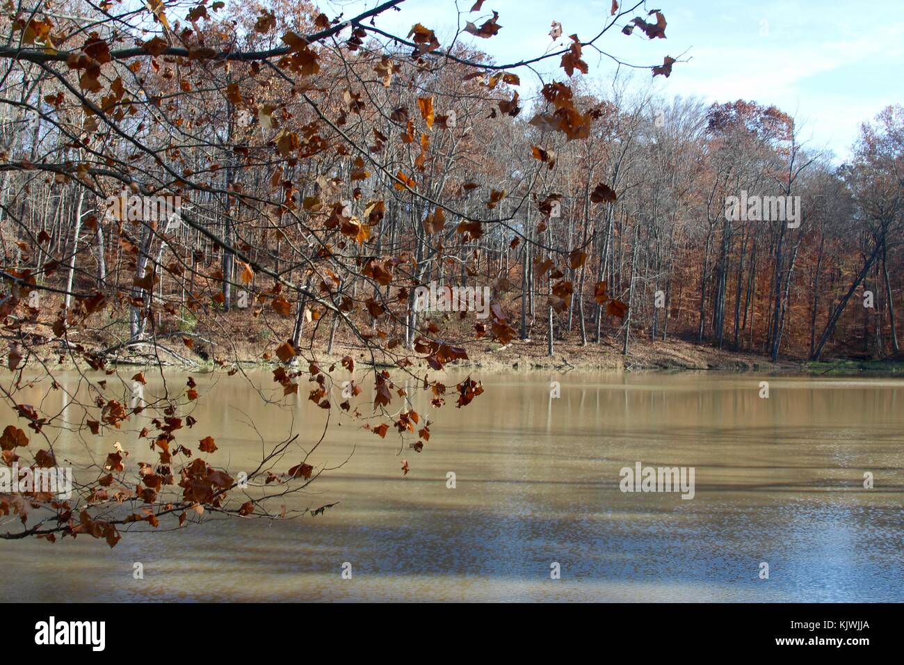 The sights and the views on the hike in the forest in the autumn season ...