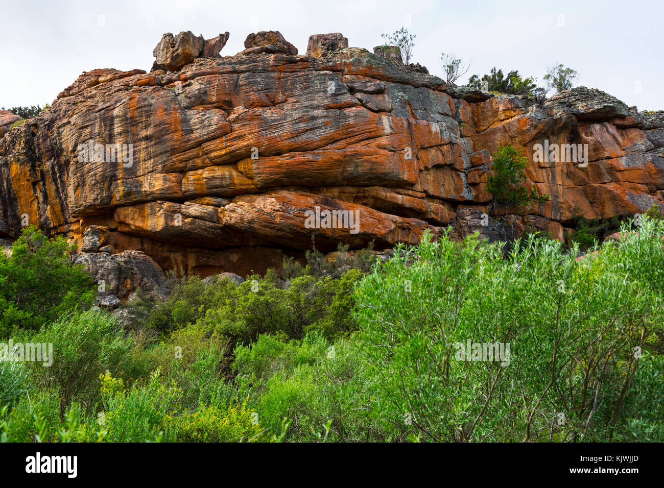 Sevilla Bushman Rock Art Trail, Clanwilliam, Cederberg Mountains ...