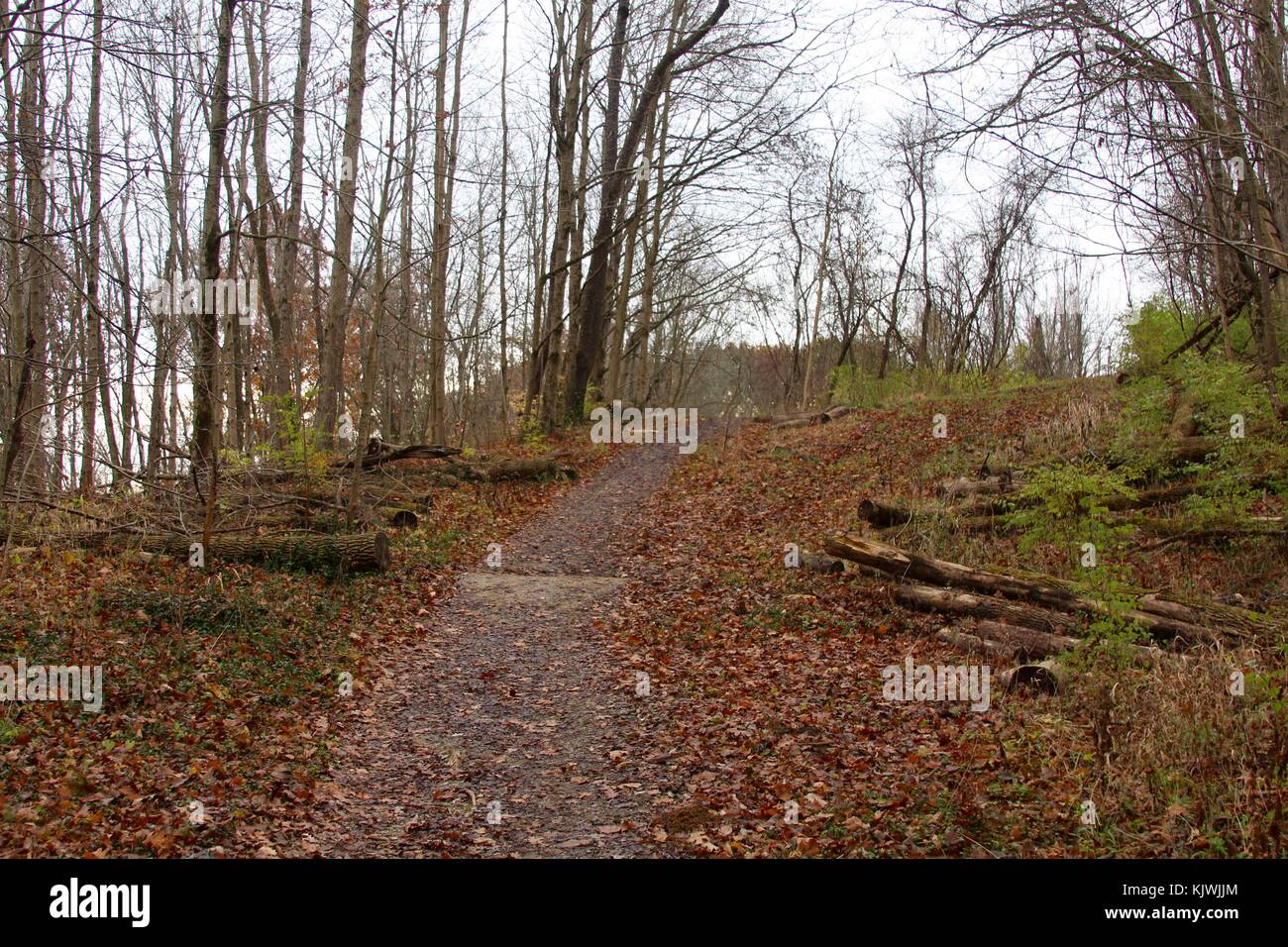 The sights and the views on the hike in the forest in the autumn season ...