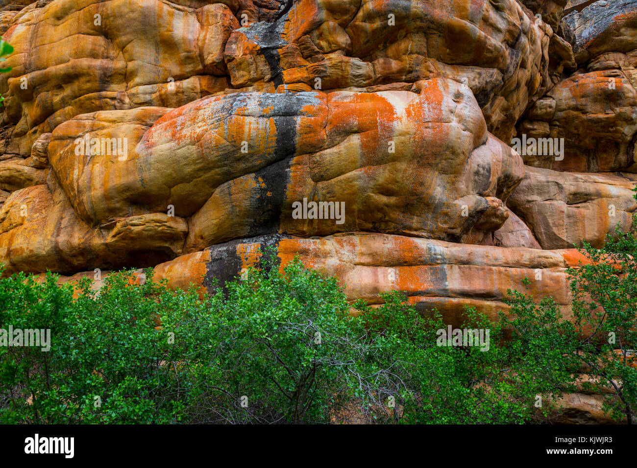 Sevilla Bushman Rock Art Trail, Clanwilliam, Cederberg Mountains ...