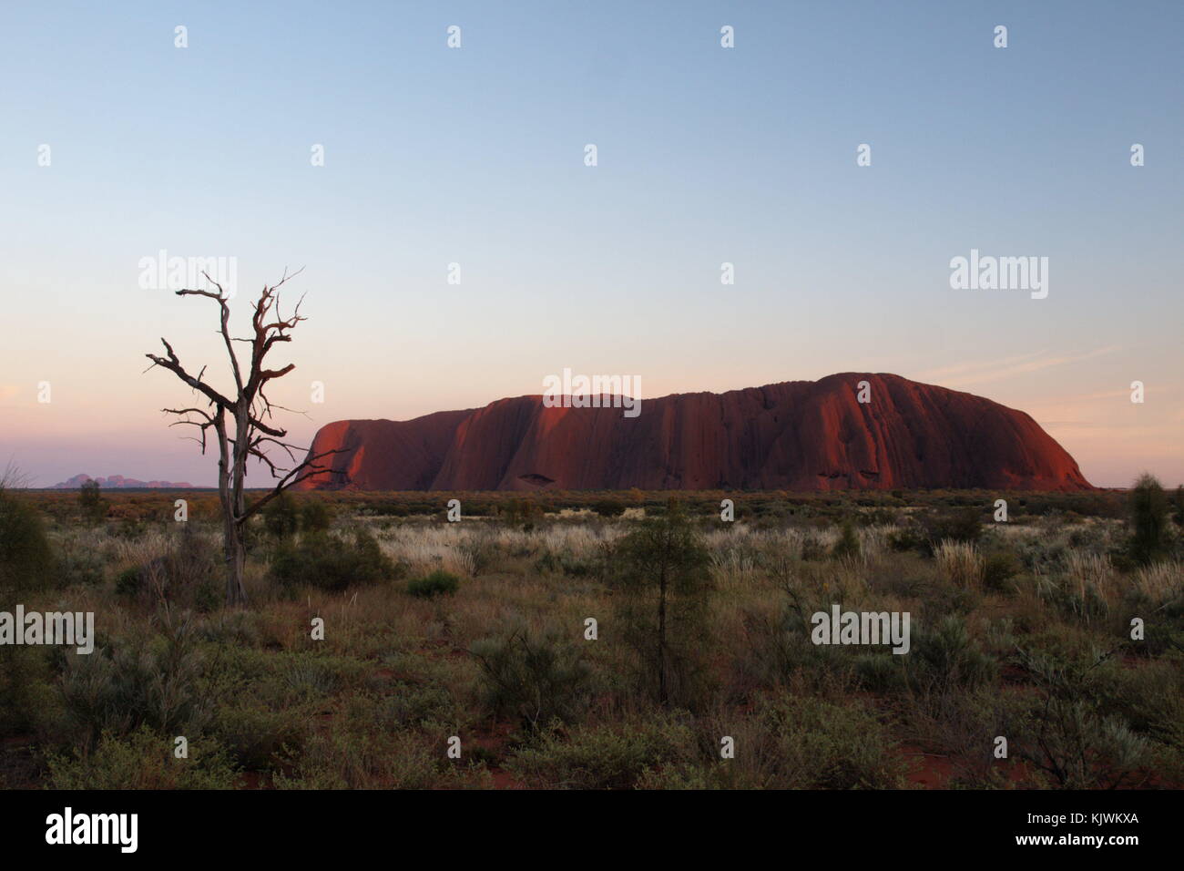 Ayers Rock/Uluru in morning light, Olgas in the background, Australia ...