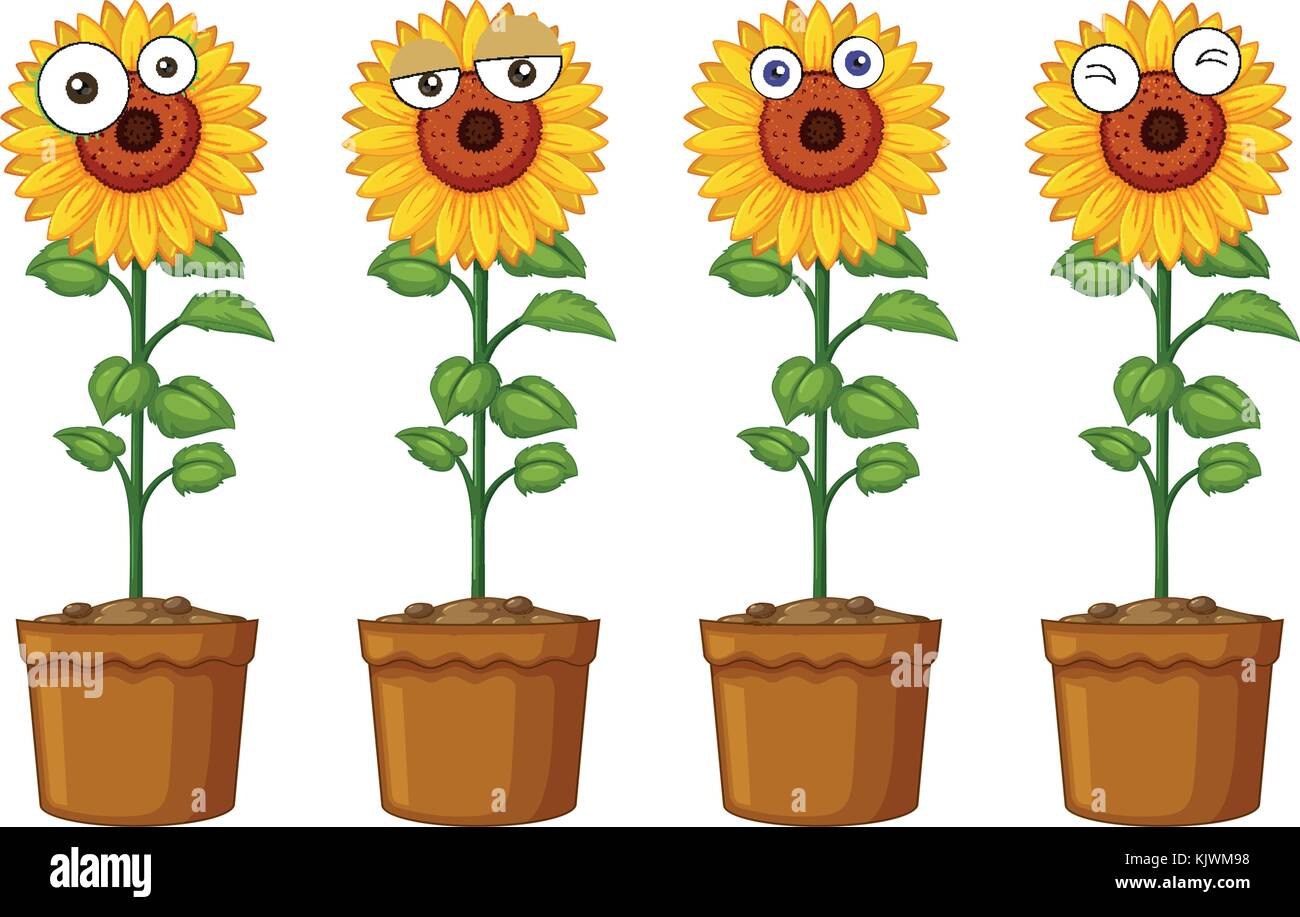 Sunflowers with different emotions illustration Stock Vector Image ...