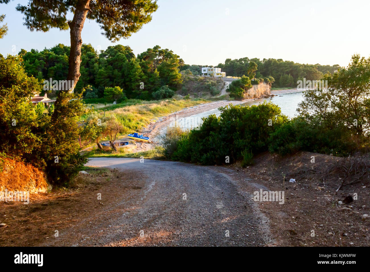 Way through silhouetted frame made of conifer canopy on seashore Stock ...