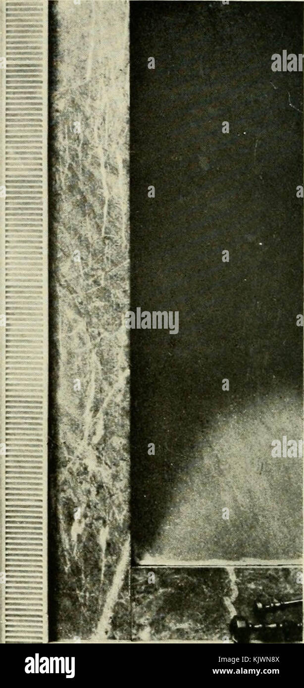 "The wood-carver of Salem; Samuel McIntire, his life and work" (1916 ...