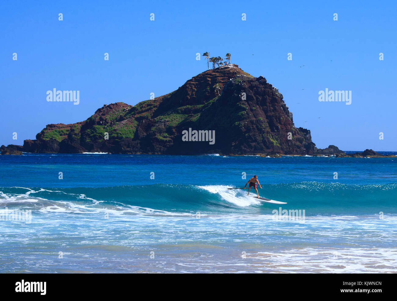 Man surfs on a stand up paddleboard at Koki Beach, Maui, Hawaii with ...