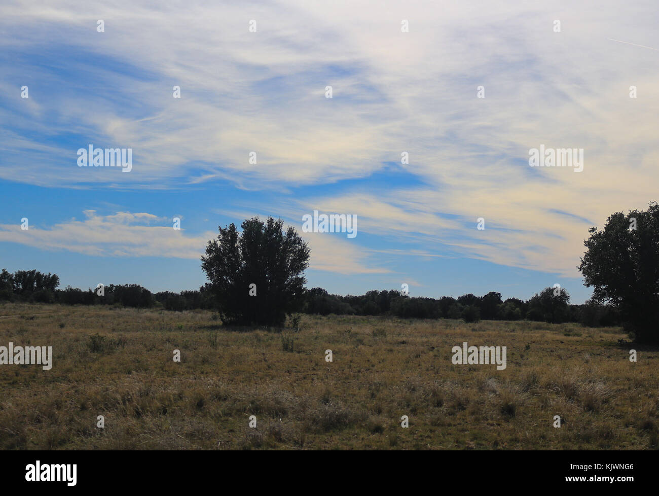 Country Landscape with Trees Stock Photo - Alamy