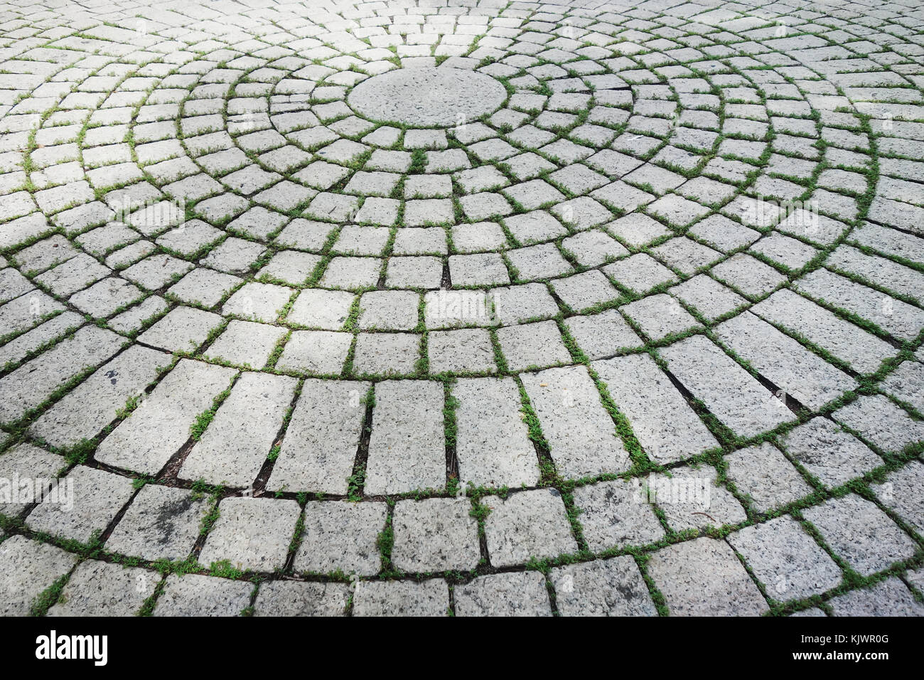 Paving blocks made of round stones and concrete path Stock Photo - Alamy