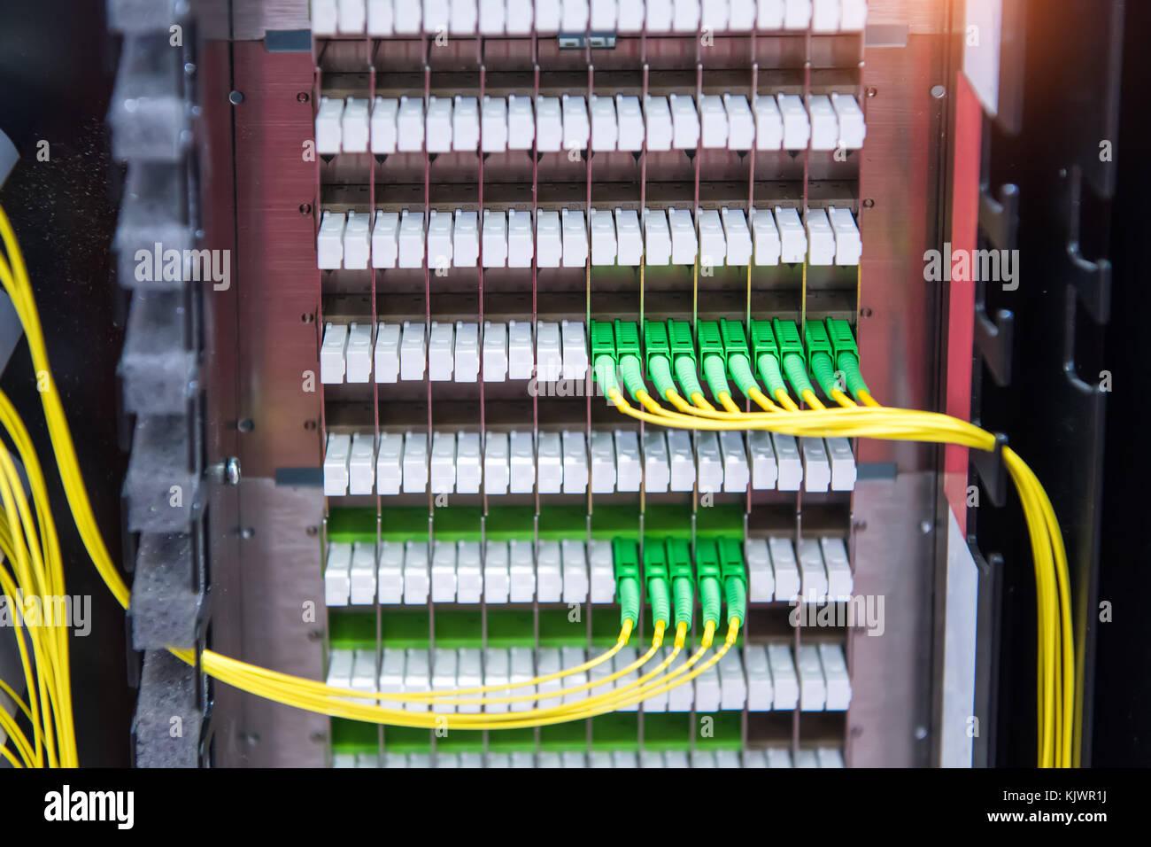 Fiber Optic cables connected to an optic ports Stock Photo - Alamy