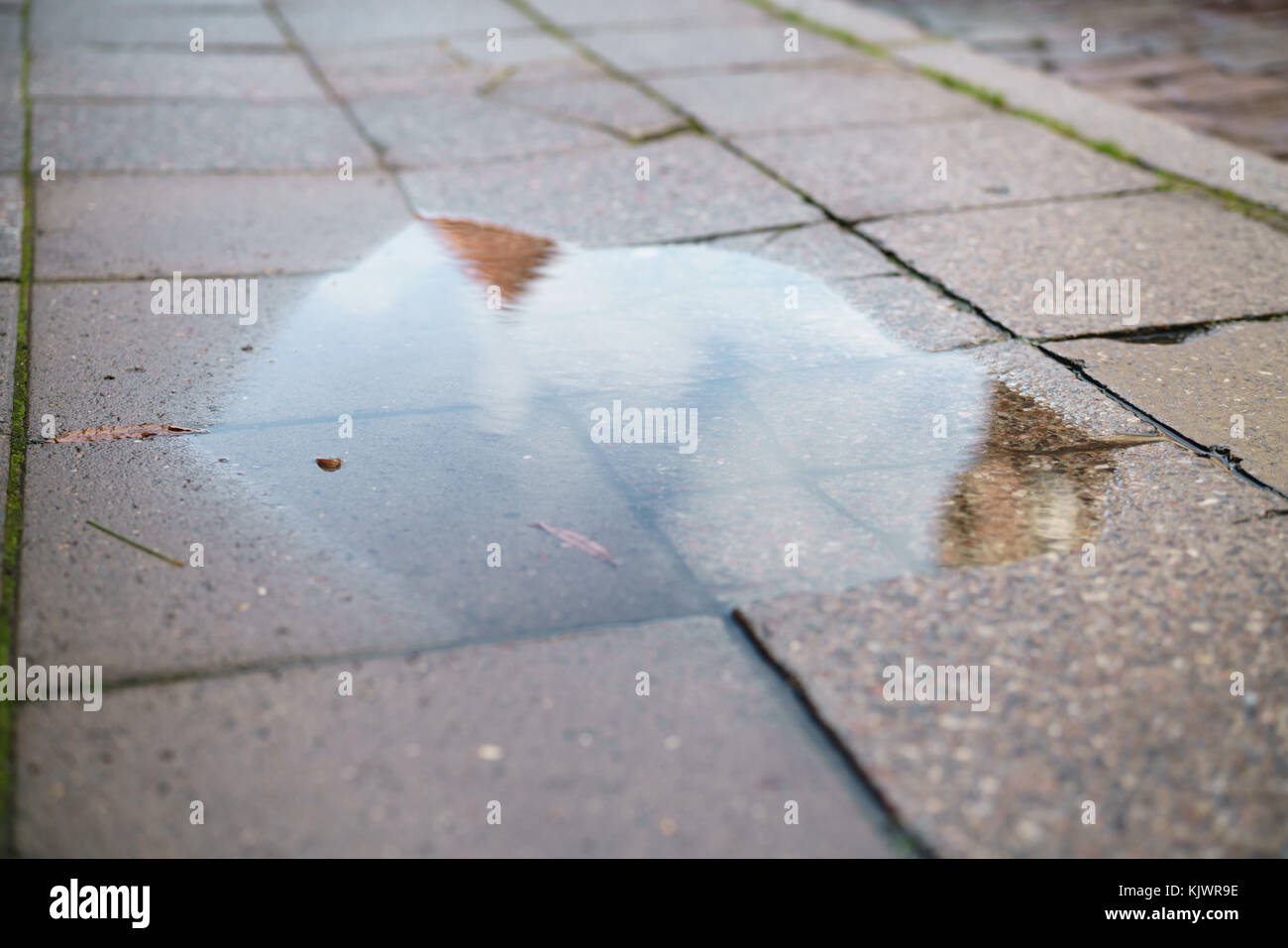 low angle shot of wet pavement in Tallinn Stock Photo - Alamy