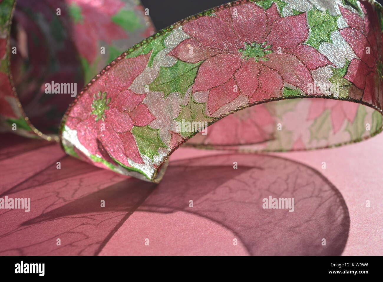 Wired ribbon with poinsettia flowers and holly leaves, on a red ...