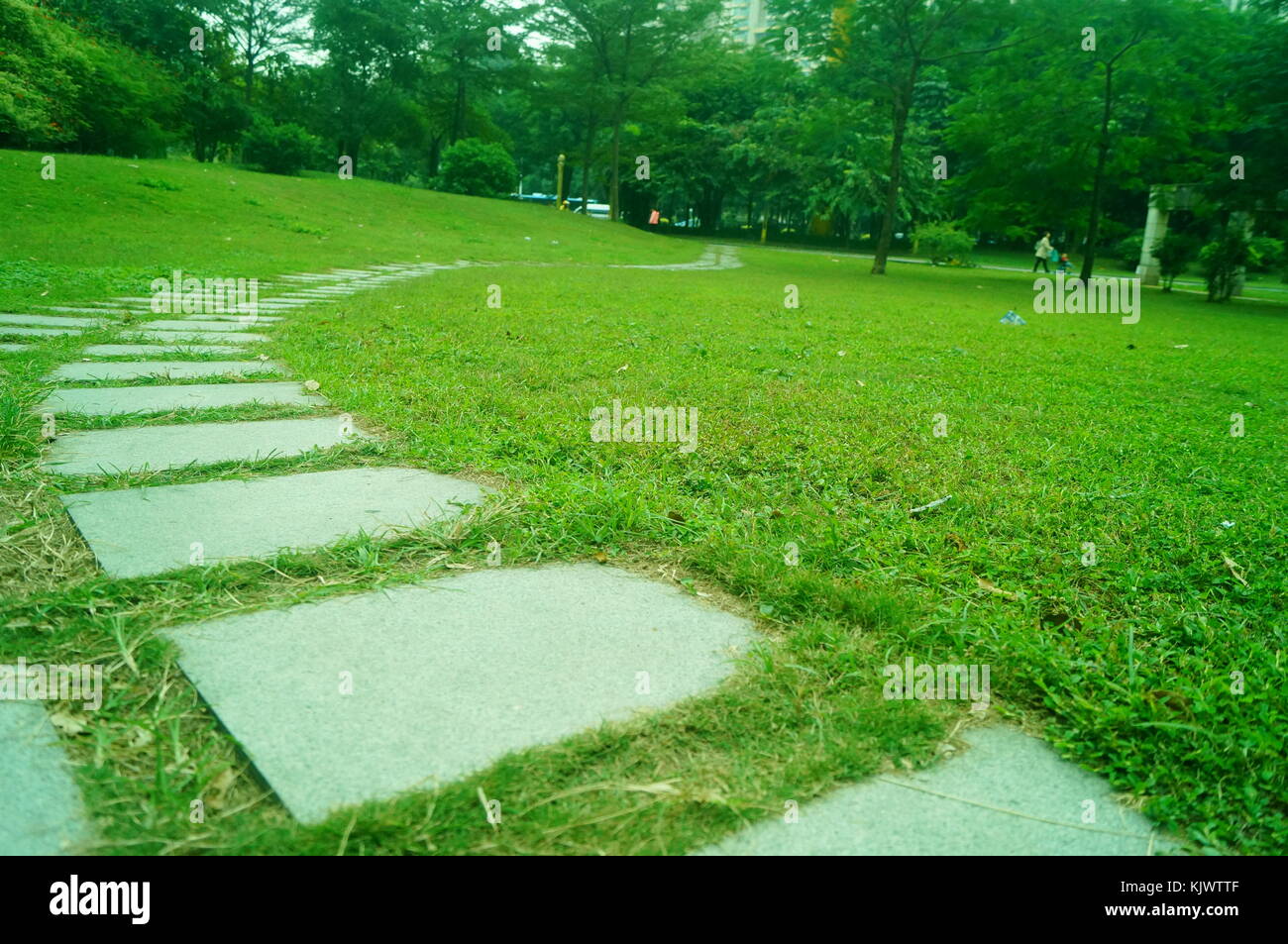Wide green lawn, quiet, beautiful Stock Photo - Alamy