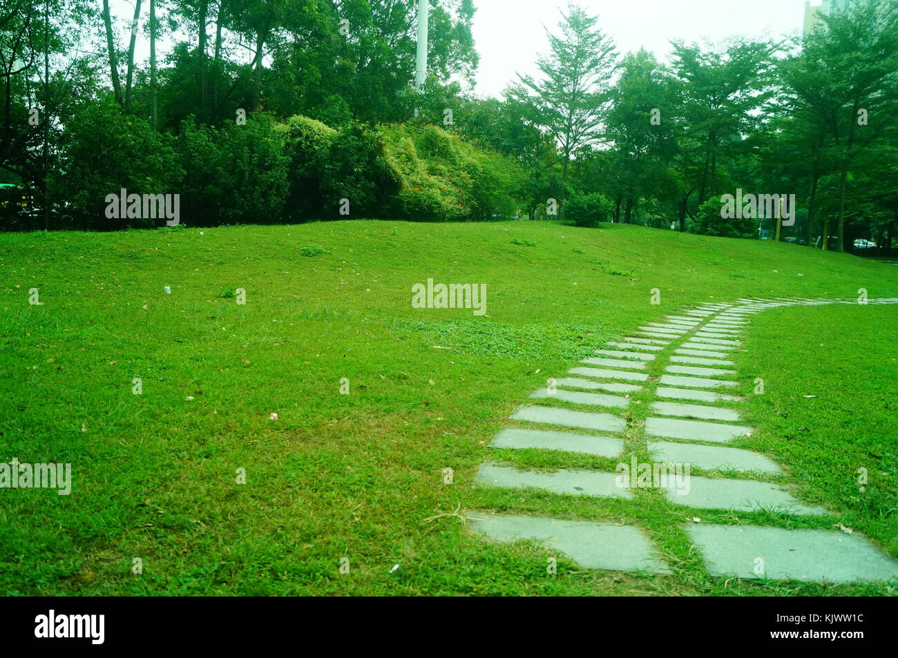 Wide green lawn, quiet, beautiful Stock Photo - Alamy