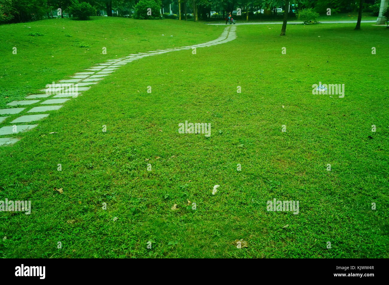 Wide green lawn, quiet, beautiful Stock Photo - Alamy