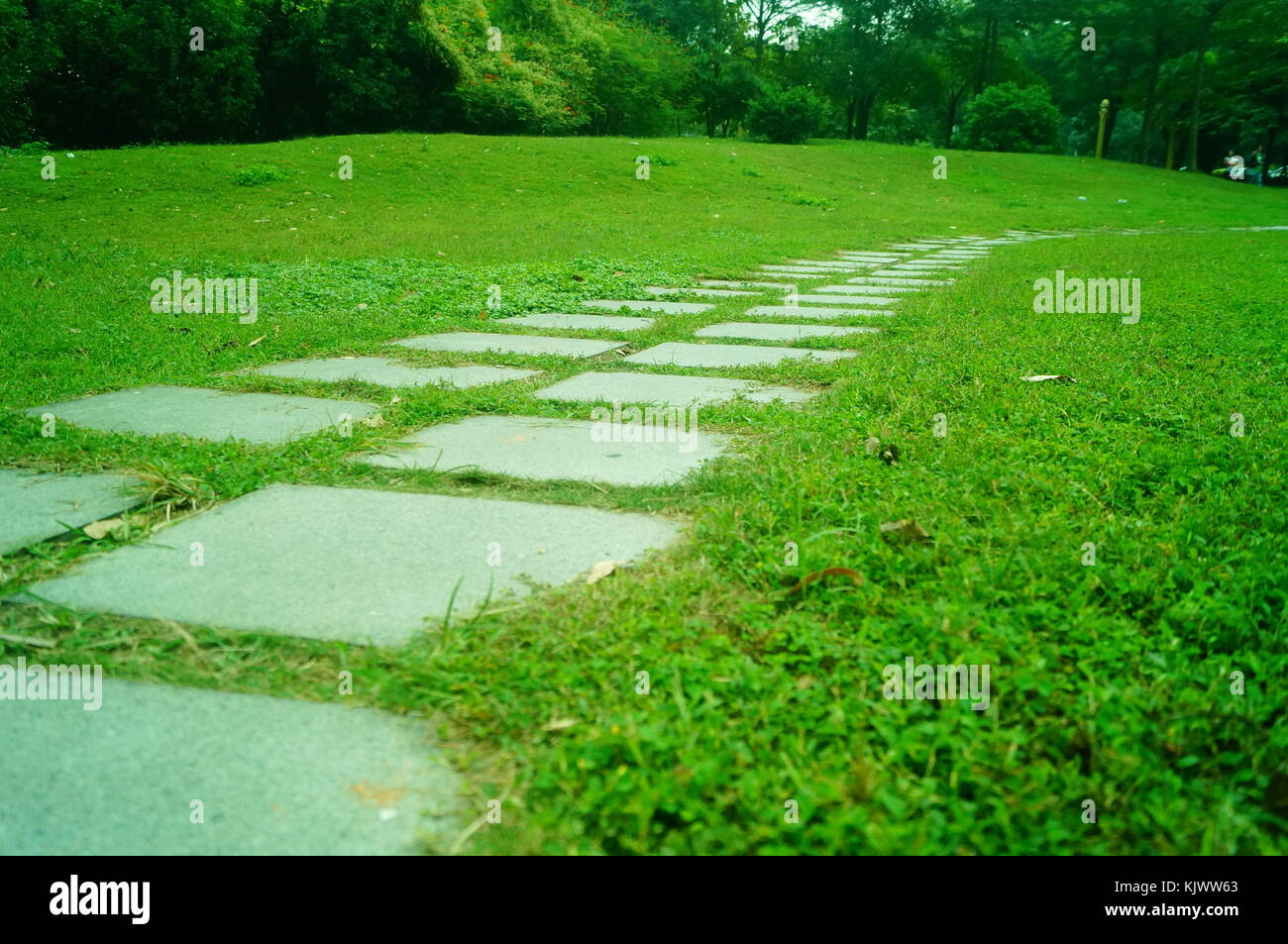 Wide green lawn, quiet, beautiful Stock Photo - Alamy