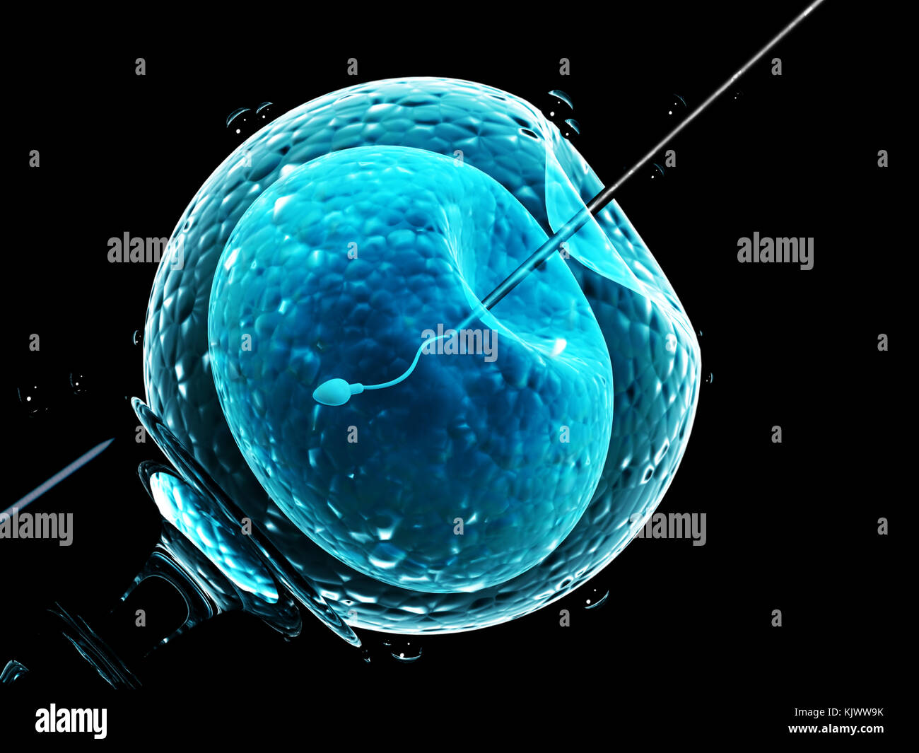 Cell injection - artificial insemination. Needle puncture the cell ...