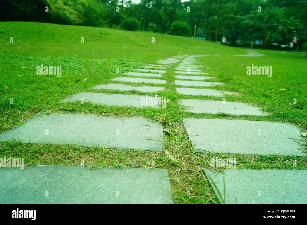 Wide green lawn, quiet, beautiful Stock Photo - Alamy