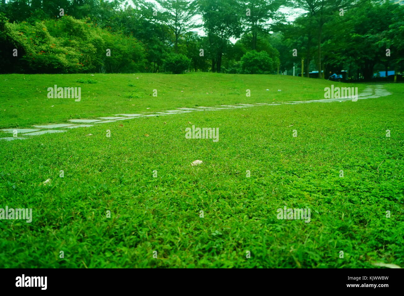 Wide green lawn, quiet, beautiful Stock Photo - Alamy
