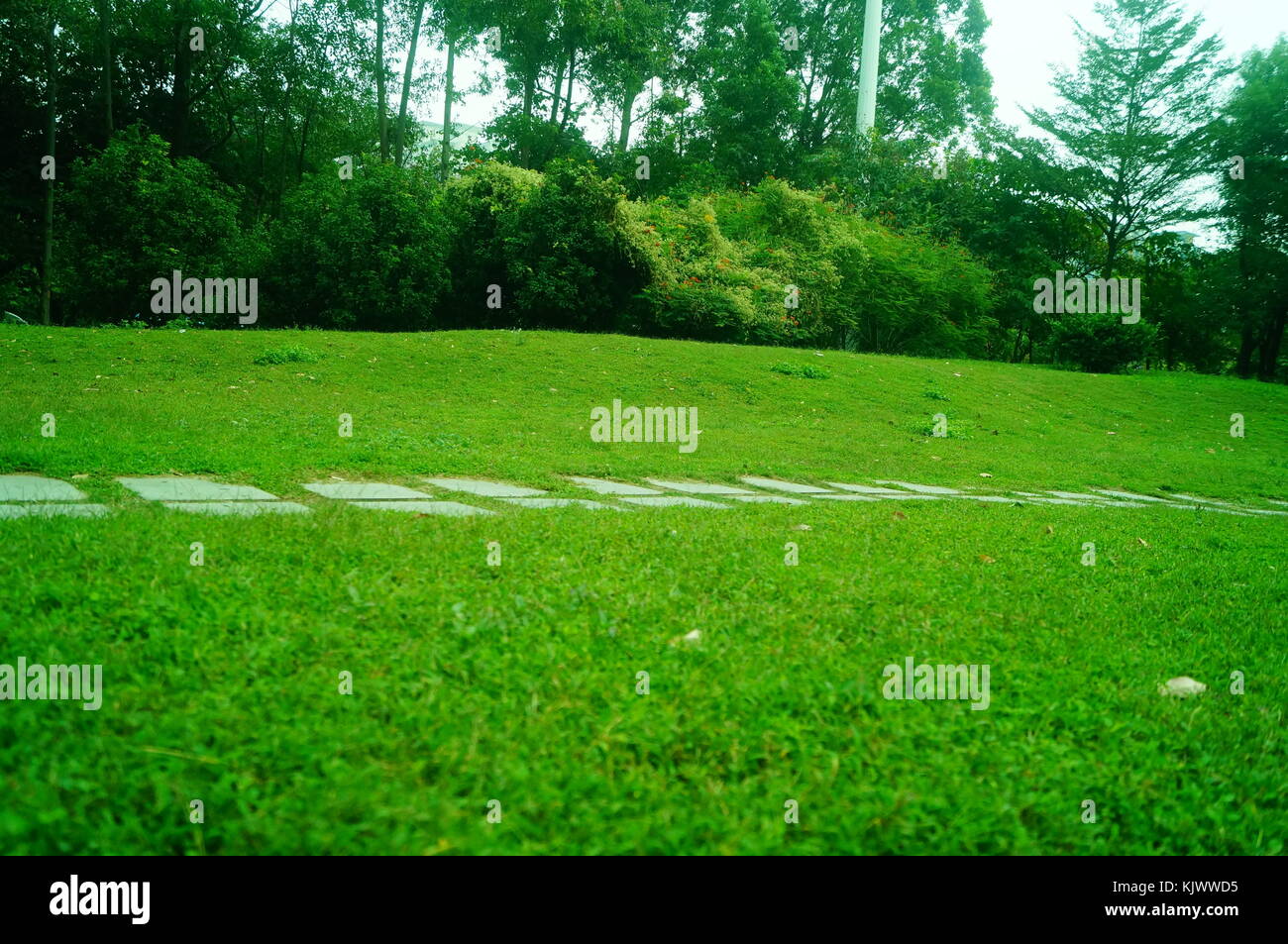 Wide green lawn, quiet, beautiful Stock Photo - Alamy
